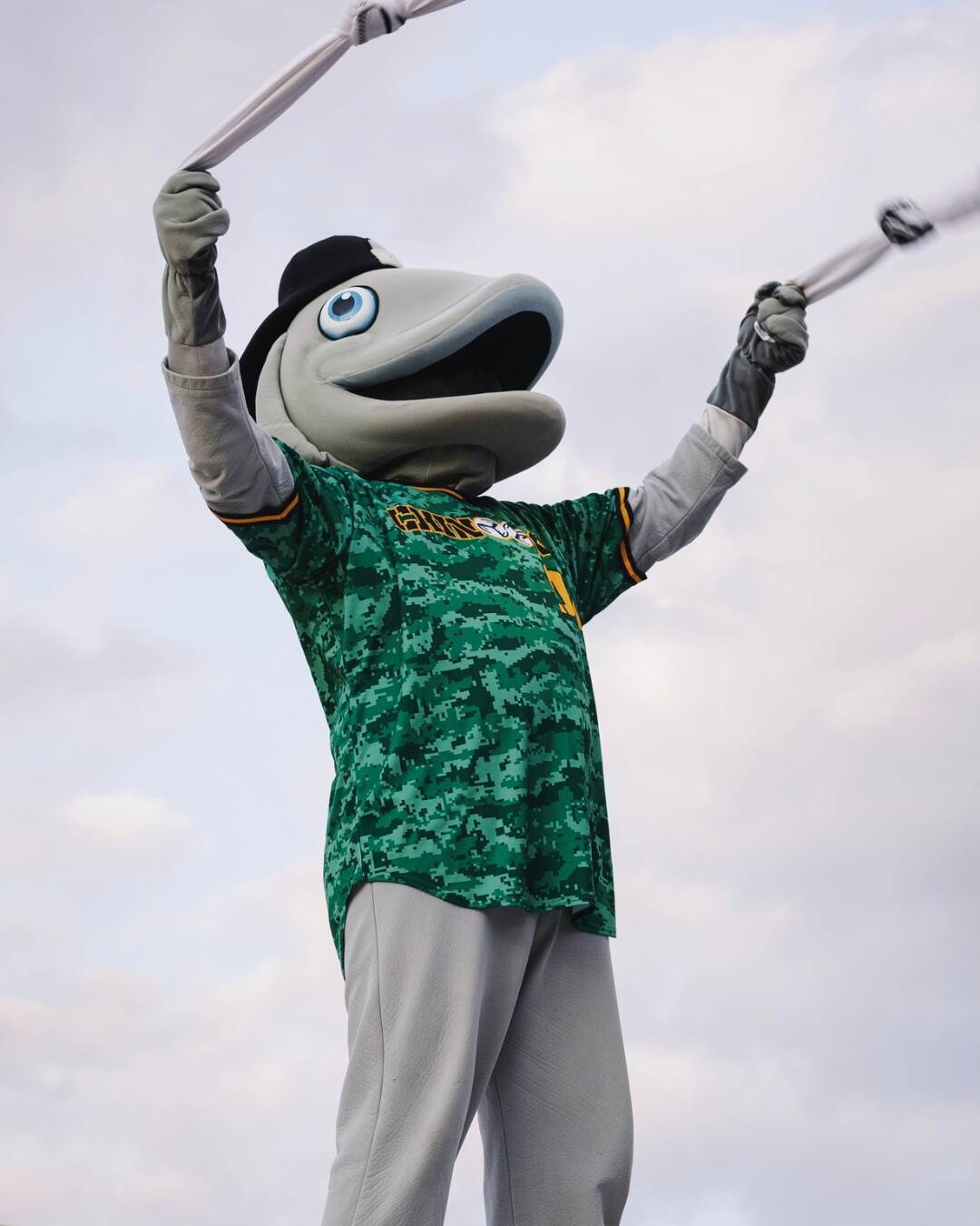 Home | Lakeshore Chinooks Baseball Shop